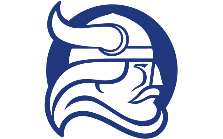 Berry College Vikings Color Codes: Hex, RGB, and Logo