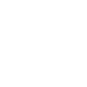 Bethany College Bison Color Codes: Hex, RGB, and Logo