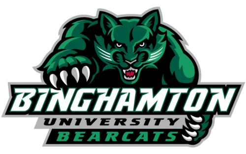 South Carolina Gamecocks Color Codes: Hex, RGB, and Logo