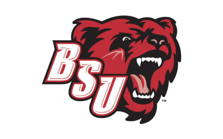 Bridgewater State University Bears Color Codes: Hex, RGB, and Logo