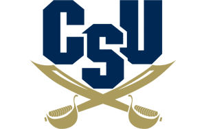 Charleston Southern Buccaneers Color Codes: Hex, RGB, and Logo