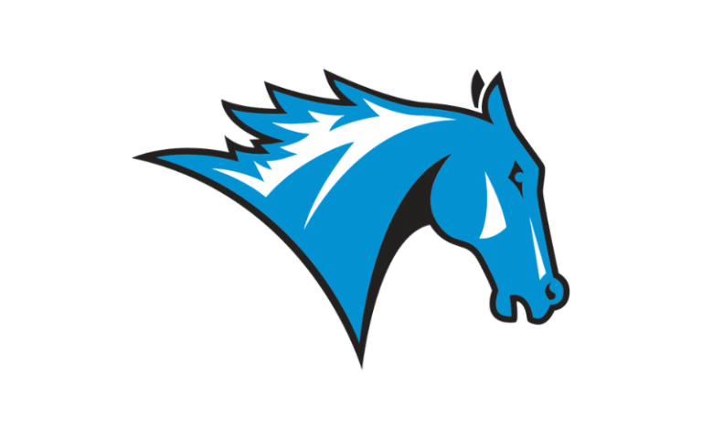 Colby Sawyer College Chargers Color Codes: Hex, RGB, and Logo