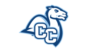 Connecticut College Camels Color Codes: Hex, RGB, and Logo