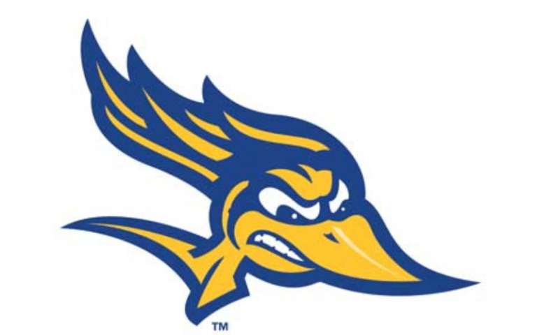 🎓 NCAA - Sport Color Codes