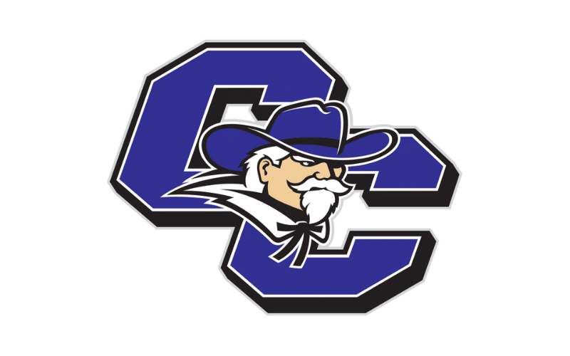 Curry College Colonels Color Codes: Hex, RGB, and Logo