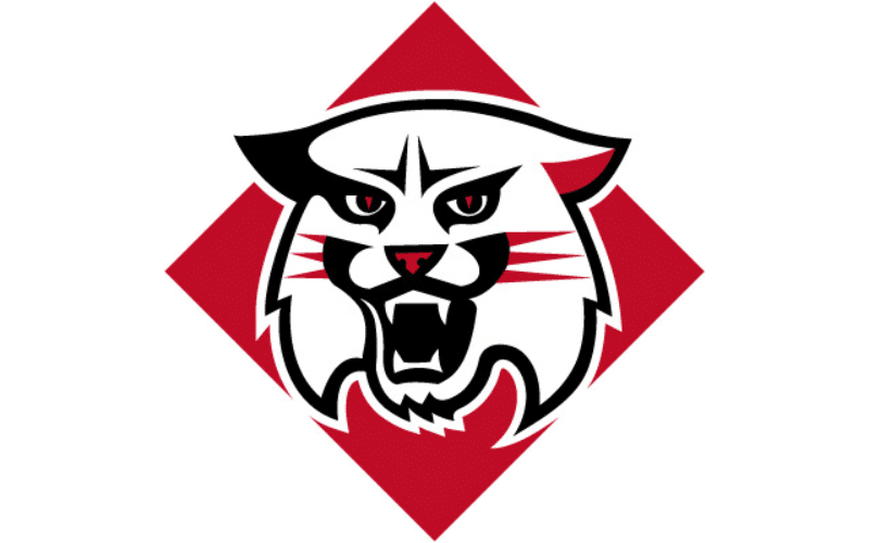 Davidson Wildcats Color Codes: Hex, RGB, and Logo
