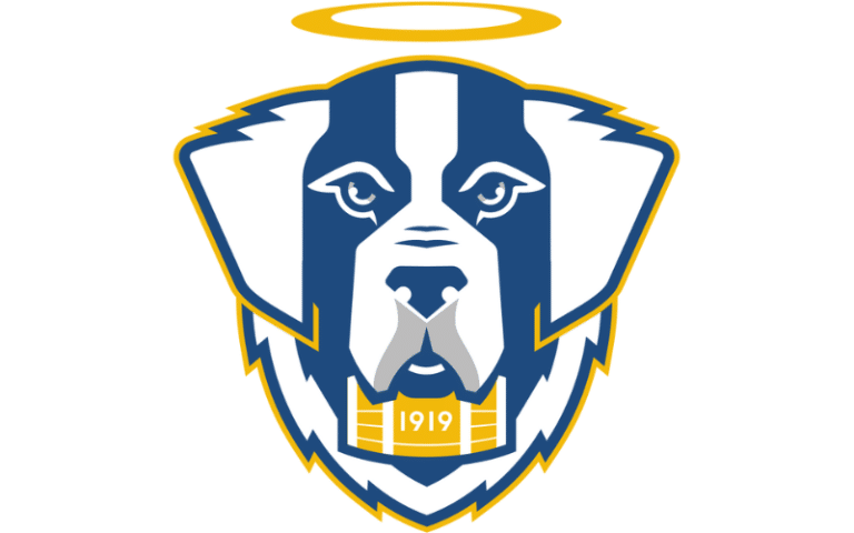 Emmanuel College Mass Saints Color Codes: Hex, RGB, and Logo