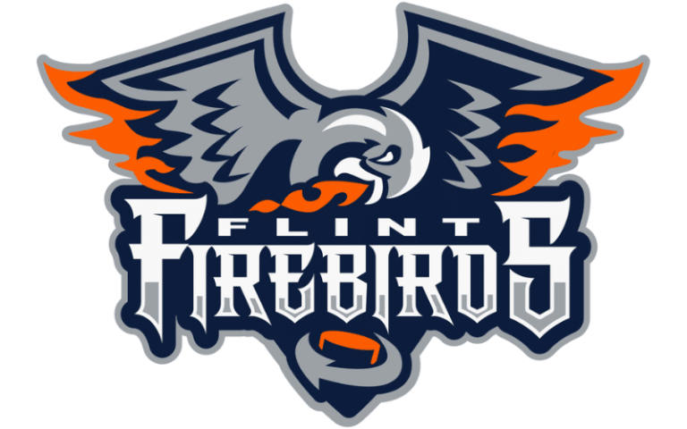Flint Firebirds Color Codes: Hex, RGB, and Logo