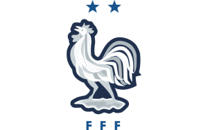 France National Football Team Color Codes: Hex, RGB, and Logo