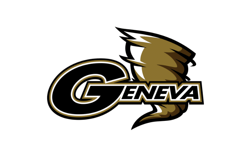 Geneva College Golden Tornadoes Color Codes: Hex, RGB, and Logo