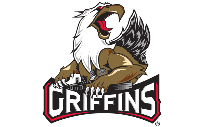 Grand Rapids Griffins Color Codes: Hex, RGB, and Logo