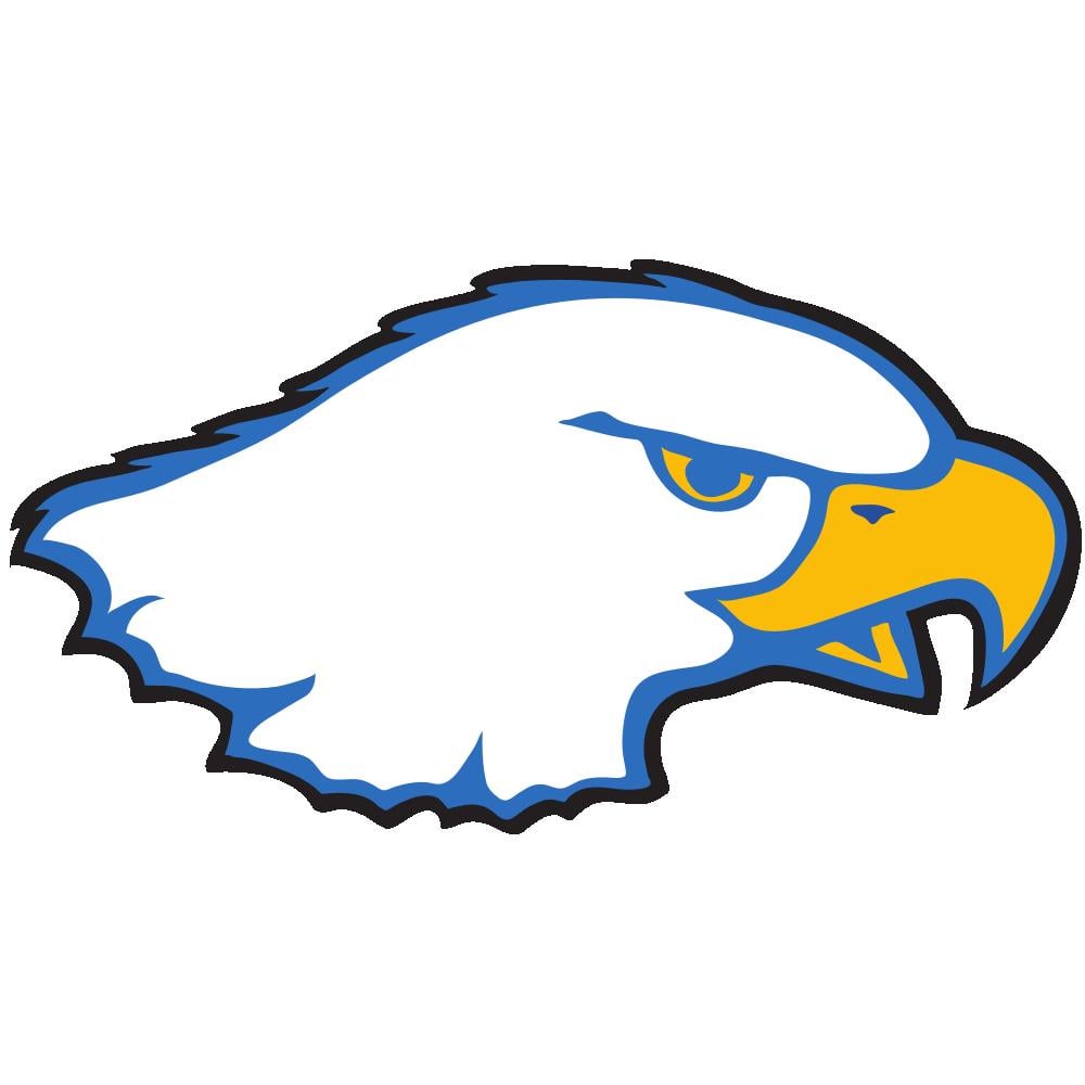 Hilbert College Hawks Color Codes: Hex, RGB, and Logo