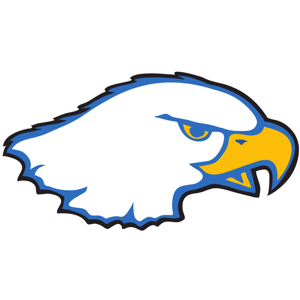 Hilbert College Hawks Color Codes: Hex, RGB, and Logo