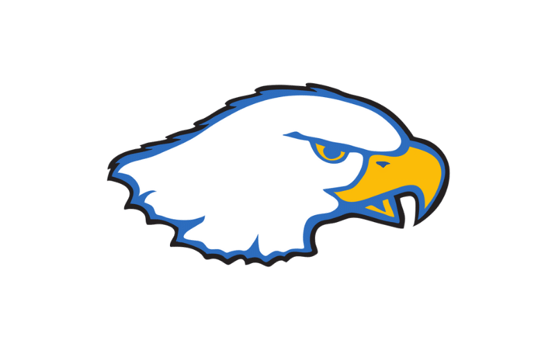 Hilbert College Hawks Color Codes: Hex, RGB, and Logo