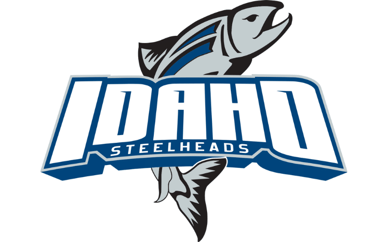 Idaho Steelheads Color Codes: Hex, RGB, and Logo