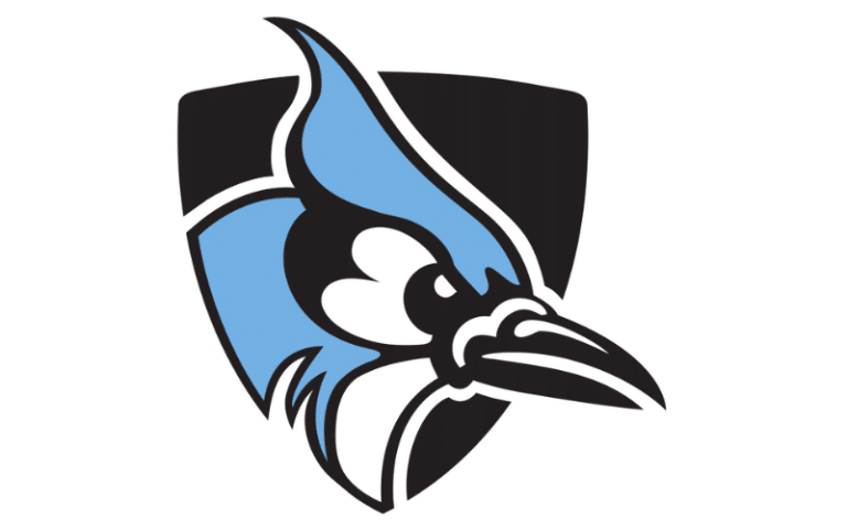Johns Hopkins University Blue Jays Color Codes: Hex, RGB, and Logo