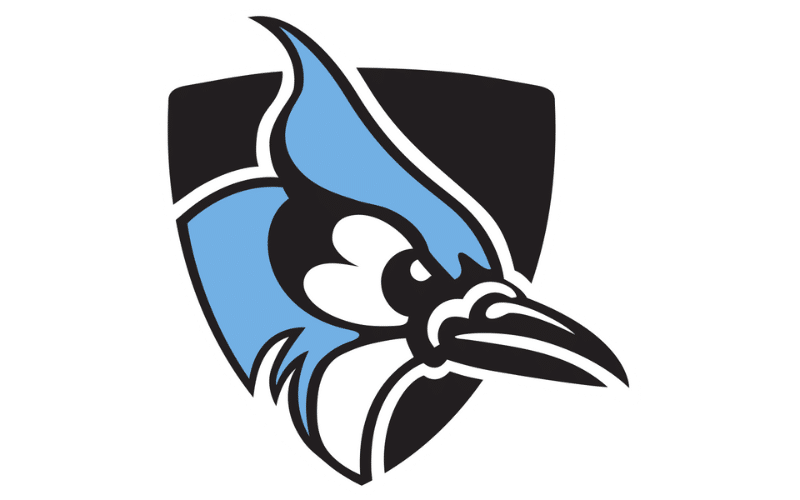 Johns Hopkins University Blue Jays Color Codes: Hex, RGB, and Logo