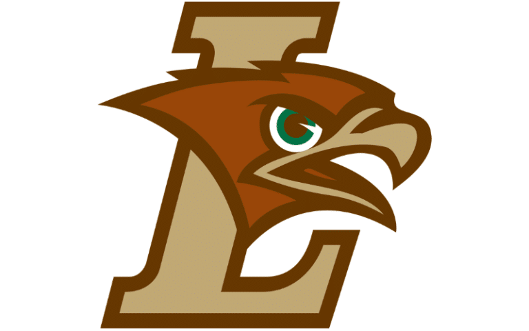 Lehigh Mountain Hawks Color Codes: Hex, RGB, and Logo