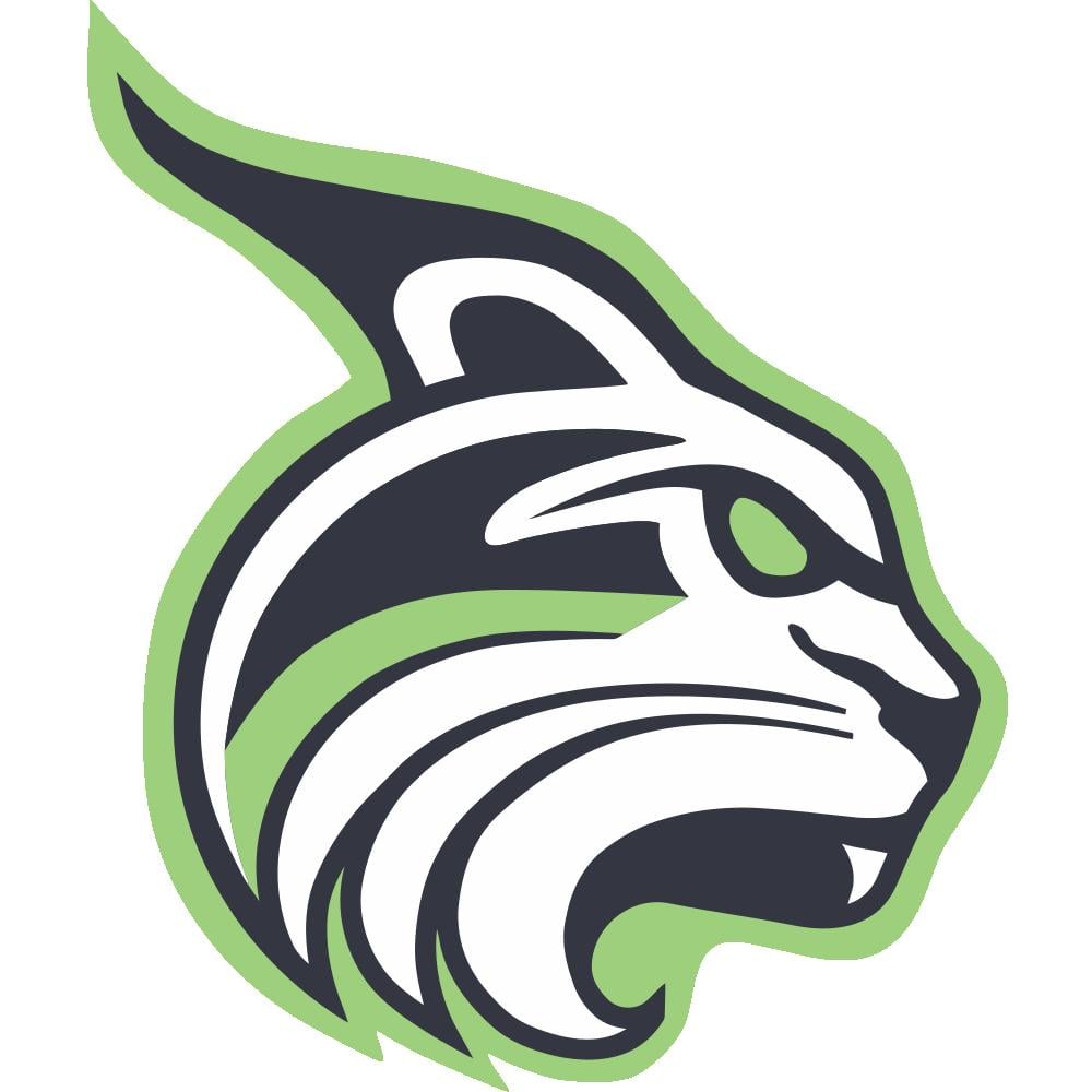 Lesley University Lynx Color Codes: Hex, RGB, and Logo