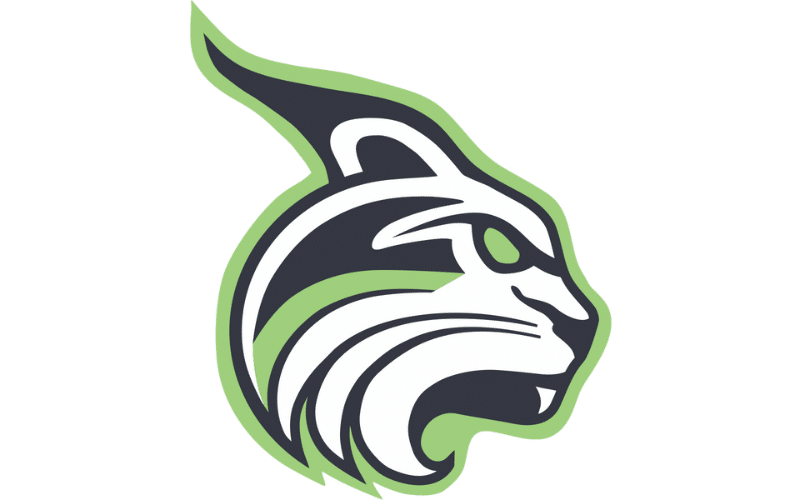 Lesley University Lynx Color Codes: Hex, RGB, and Logo