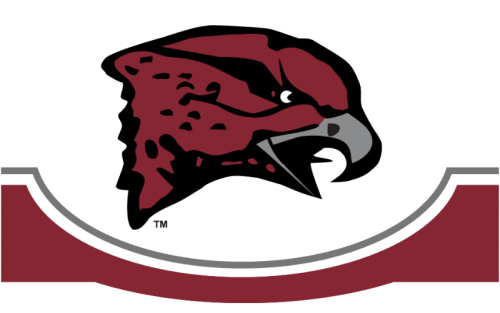 Arkansas Razorbacks Color Codes: Hex, RGB, and Logo