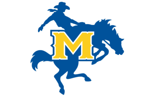 Clemson Tigers Color Codes: Hex, RGB, and Logo