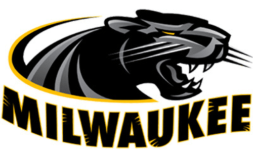 Indiana Hoosiers Color Codes: Hex, RGB, and Logo