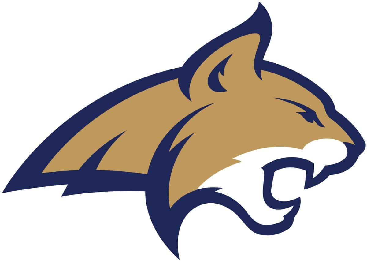 Montana State Bobcats Color Codes: Hex, RGB, and Logo