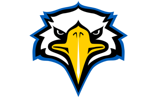 South Dakota State Jackrabbits Color Codes: Hex, RGB, and Logo