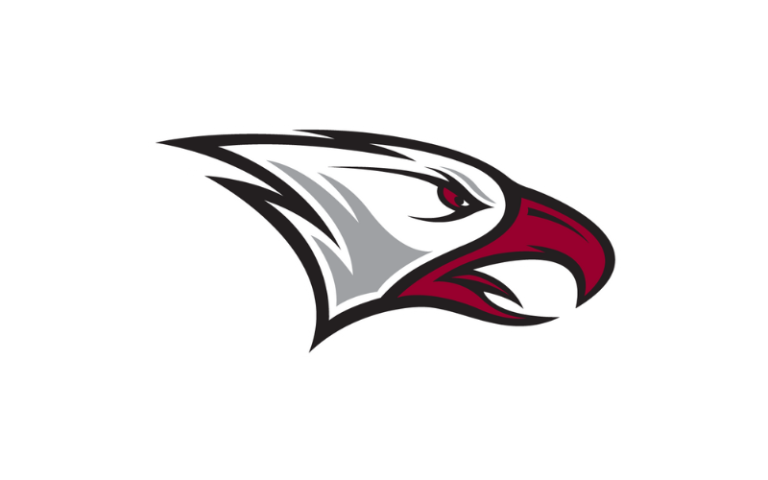 North Carolina Central Eagles Color Codes: Hex, RGB, and Logo