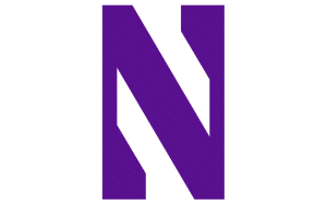 Northwestern Wildcats Color Codes: Hex, RGB, and Logo