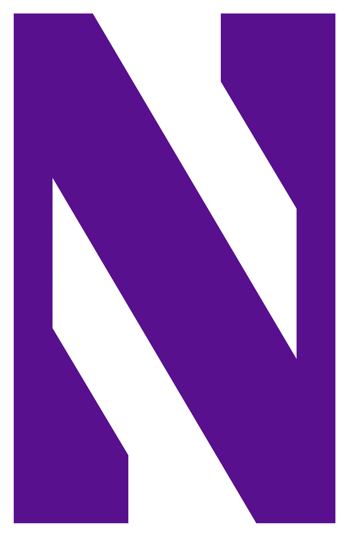Northwestern Wildcats Color Codes: Hex, RGB, and Logo
