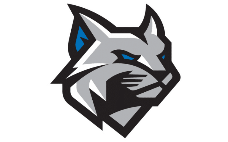 Penn College Of Technology Color Codes: Hex, RGB, and Logo
