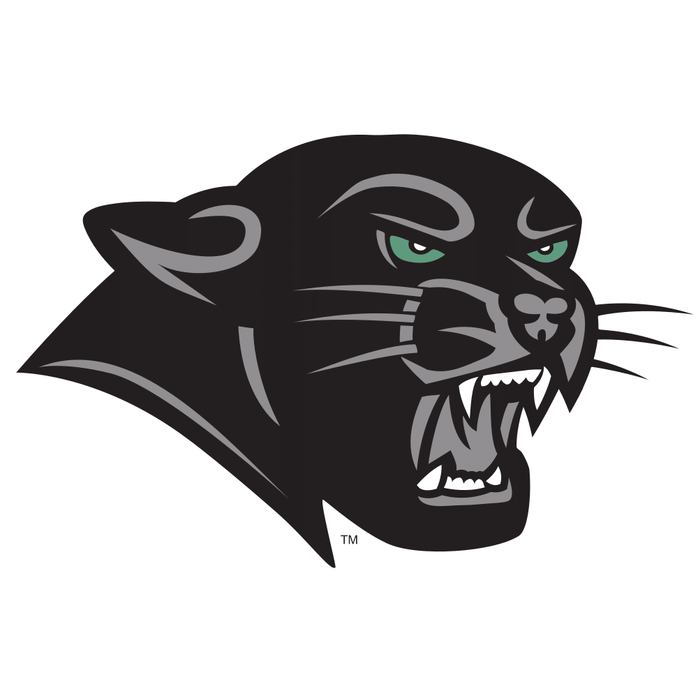 Plymouth State University Panthers Color Codes: Hex, RGB, and Logo