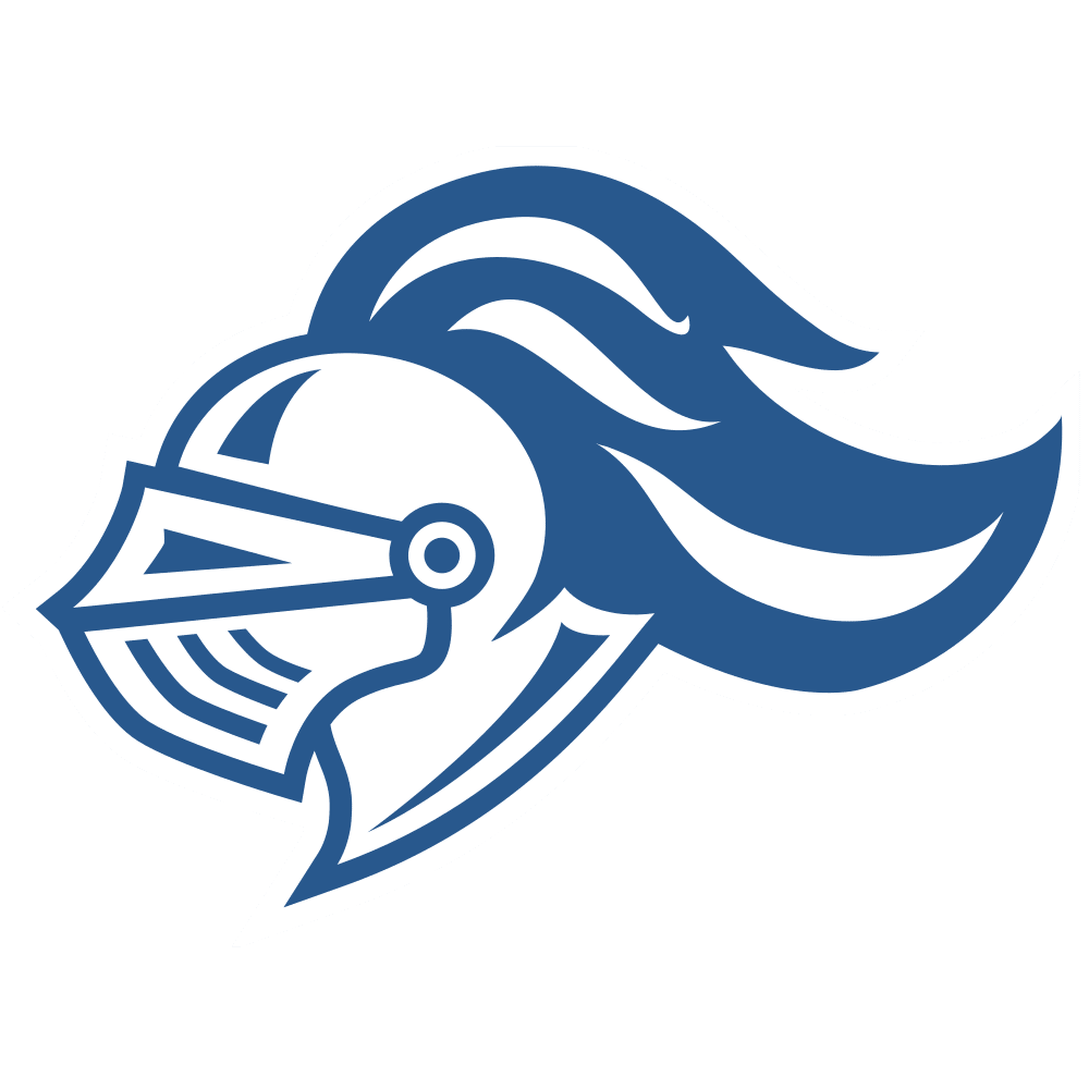 Rivier College Raiders Color Codes: Hex, RGB, and Logo