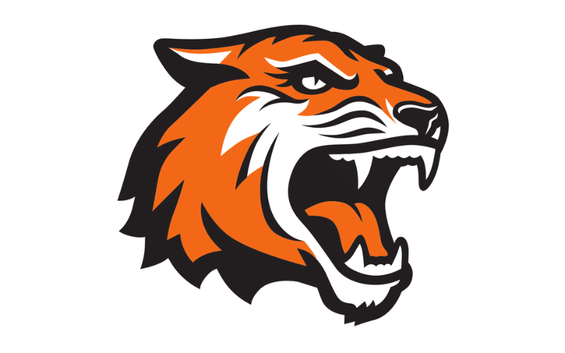 Rochester Institute Of Technology Tigers Color Codes: Hex, RGB, and Logo