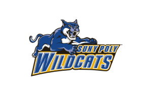 SUNY Polytechnic Institute Wildcats Color Codes: Hex, RGB, and Logo