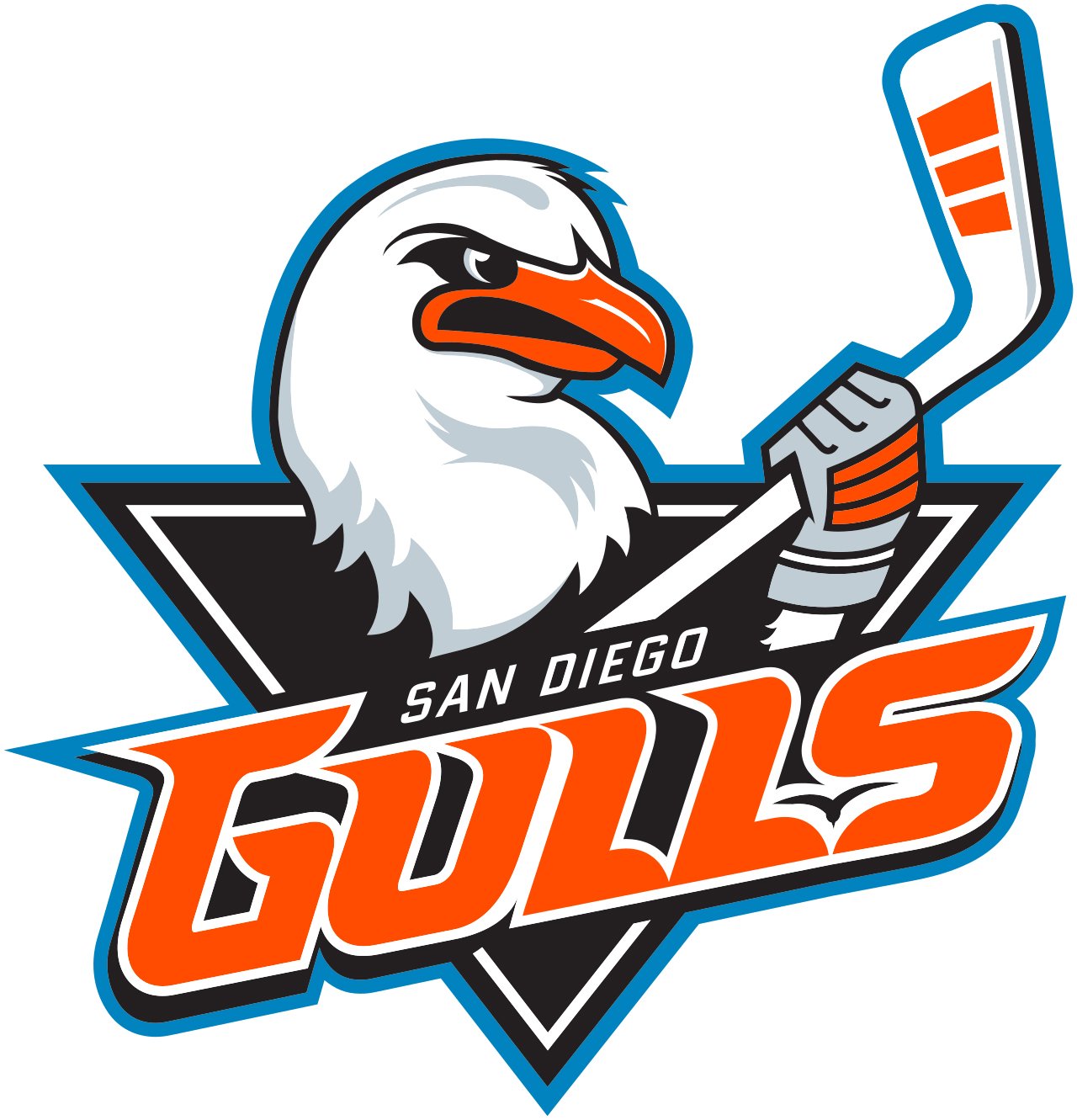 San Diego Gulls Color Codes: Hex, RGB, and Logo