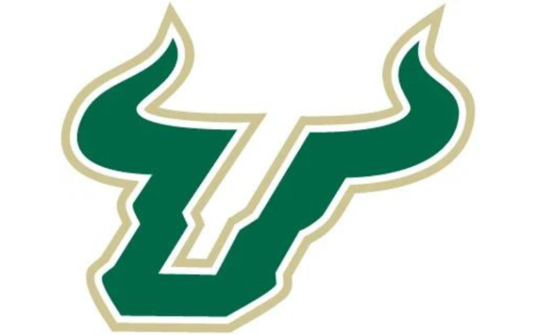 South Florida Bulls Color Codes: Hex, RGB, and Logo