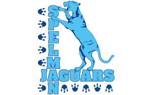 Spelman College Jaguars Color Codes: Hex, RGB, and Logo
