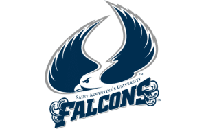 St. Augustine's Falcons Color Codes: Hex, RGB, and Logo
