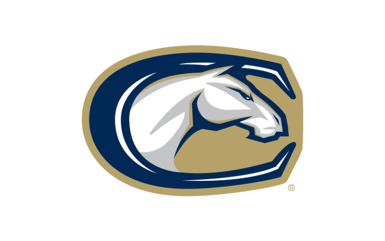 UC Davis Aggies Color Codes: Hex, RGB, and Logo