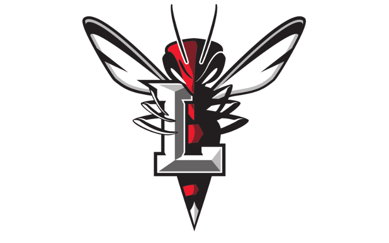 University Of Lynchburg Hornets Color Codes Hex Rgb And Logo