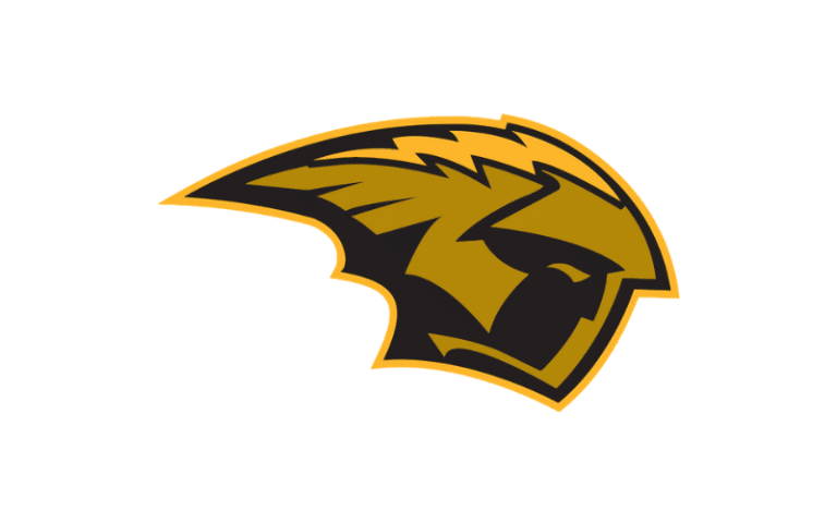 University Of Wisconsin Oshkosh Titans Color Codes: Hex, RGB, and Logo