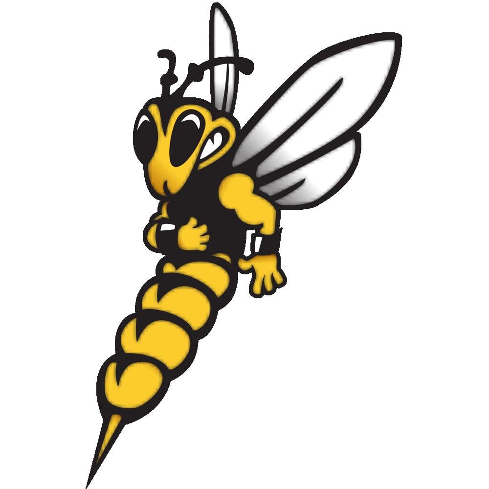 University Of Wisconsin-Superior Yellowjackets Color Codes: Hex, RGB ...