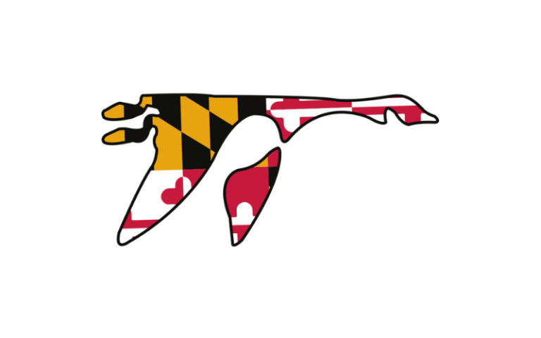 Washington College Shoremen Color Codes: Hex, RGB, and Logo