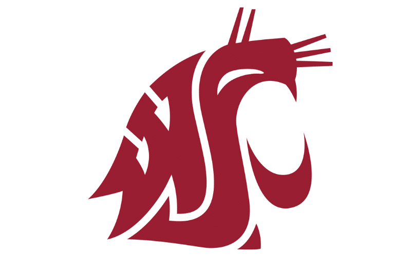 Washington State Cougars Color Codes: Hex, RGB, and Logo