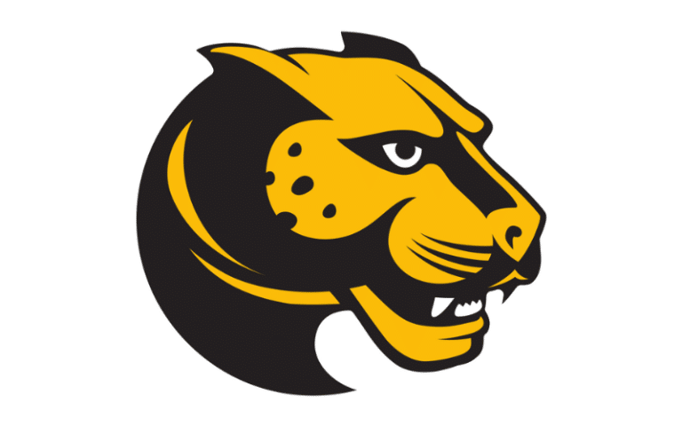 Wentworth Institute Of Technology Leopards Color Codes: Hex, RGB, and Logo