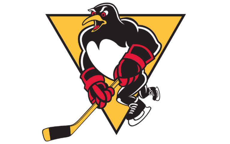 Wilkes Barrescranton Penguins Color Codes: Hex, RGB, and Logo
