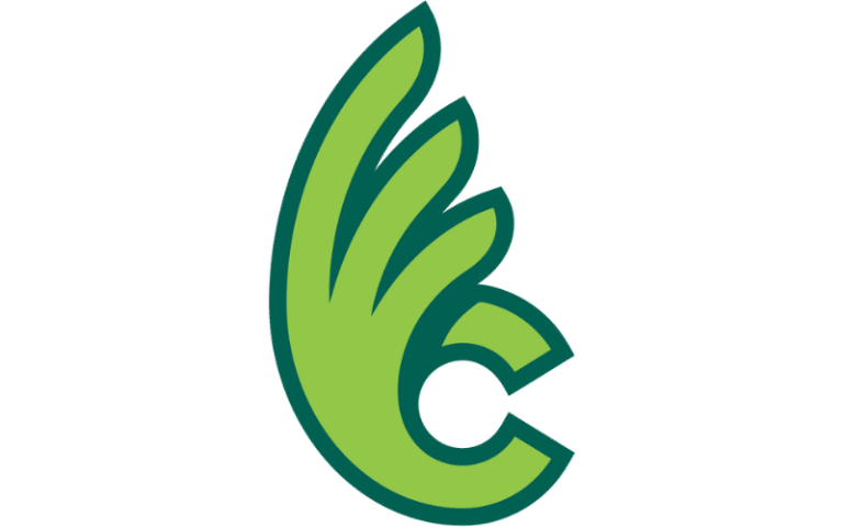 Wilmington College Fightin Quakers Color Codes: Hex, RGB, and Logo